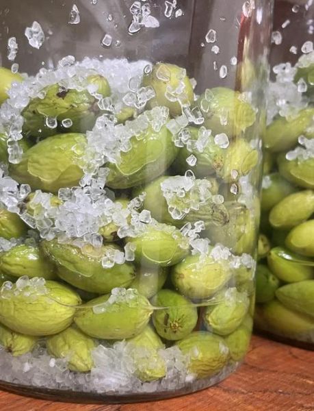 腌橄榄的做法_如何腌制橄榄不苦-第1张图片-山城妙识 腌橄榄的做法_如何腌制橄榄不苦-第1张图片-山城妙识