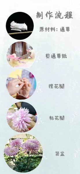 通草花是什么_通草花制作方法-第1张图片-山城妙识 通草花是什么_通草花制作方法-第1张图片-山城妙识