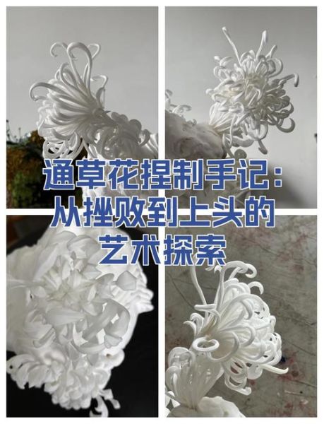 通草花是什么_通草花制作方法-第3张图片-山城妙识 通草花是什么_通草花制作方法-第3张图片-山城妙识