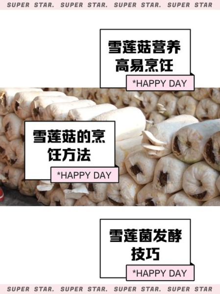 雪莲菌的功效与作用_雪莲菌怎么吃最好-第1张图片-山城妙识 雪莲菌的功效与作用_雪莲菌怎么吃最好-第1张图片-山城妙识