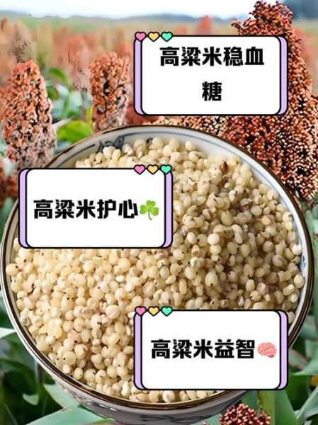 高粱米的功效与作用_高粱米有哪些营养价值-第1张图片-山城妙识 高粱米的功效与作用_高粱米有哪些营养价值-第1张图片-山城妙识