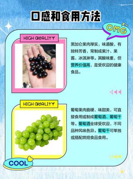 黑加仑和葡萄的区别_黑加仑是葡萄吗-第1张图片-山城妙识 黑加仑和葡萄的区别_黑加仑是葡萄吗-第1张图片-山城妙识