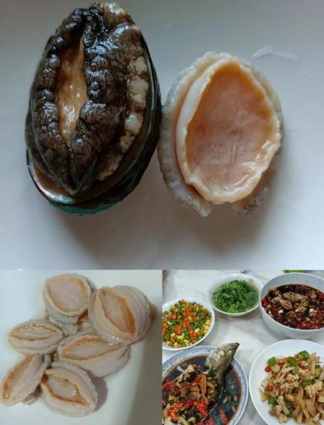 鲜鲍鱼怎么清洗_鲜鲍鱼处理步骤-第1张图片-山城妙识