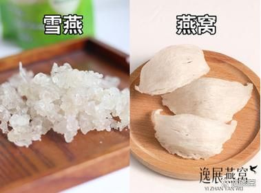 香港人说的燕菜是什么_燕菜和琼脂一样吗-第3张图片-山城妙识