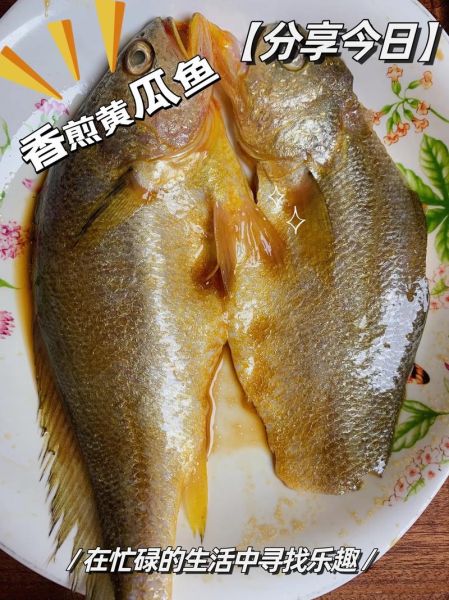 黄瓜鱼怎么做好吃_黄瓜鱼的营养价值-第1张图片-山城妙识 黄瓜鱼怎么做好吃_黄瓜鱼的营养价值-第1张图片-山城妙识