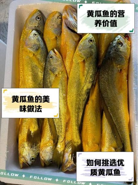 黄瓜鱼怎么做好吃_黄瓜鱼的营养价值-第3张图片-山城妙识 黄瓜鱼怎么做好吃_黄瓜鱼的营养价值-第3张图片-山城妙识