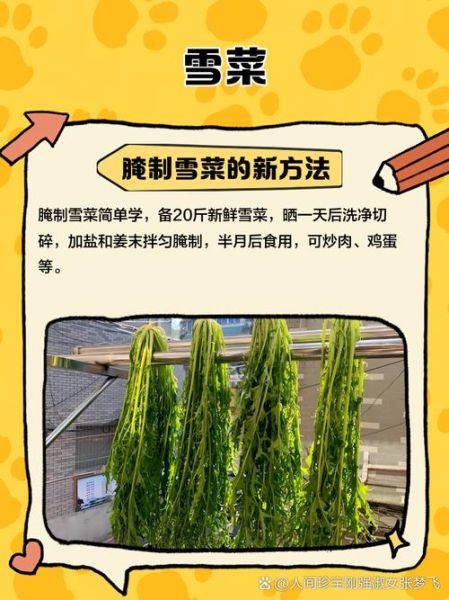 雪菜的营养价值_雪菜的功效与作用-第3张图片-山城妙识 雪菜的营养价值_雪菜的功效与作用-第3张图片-山城妙识