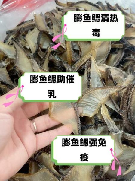 膨鱼鳃的功效与作用_膨鱼鳃怎么吃效果最好-第1张图片-山城妙识 膨鱼鳃的功效与作用_膨鱼鳃怎么吃效果最好-第1张图片-山城妙识