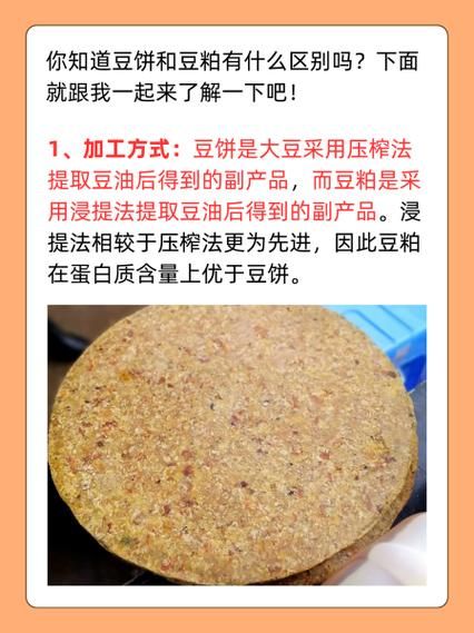 豆饼价格最新行情_豆饼多少钱一吨-第1张图片-山城妙识 豆饼价格最新行情_豆饼多少钱一吨-第1张图片-山城妙识