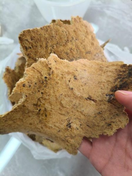 豆饼价格最新行情_豆饼多少钱一吨-第2张图片-山城妙识 豆饼价格最新行情_豆饼多少钱一吨-第2张图片-山城妙识