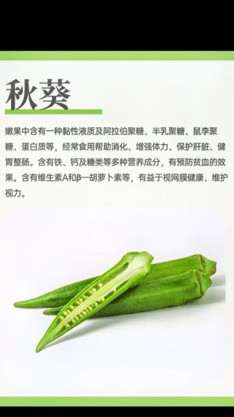 秋葵脆片的功效与作用_秋葵脆片能减肥吗-第2张图片-山城妙识 秋葵脆片的功效与作用_秋葵脆片能减肥吗-第2张图片-山城妙识