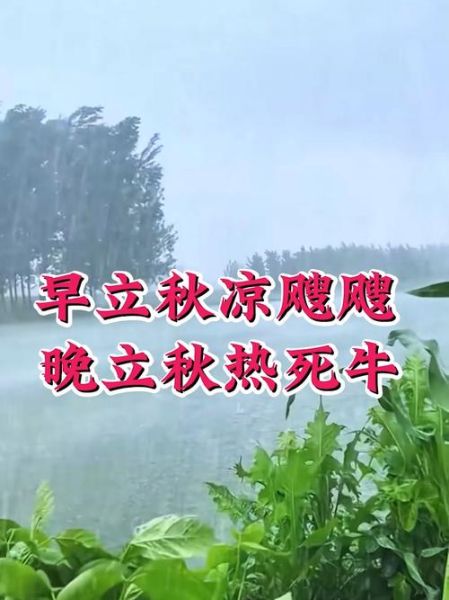 2021晚立秋为什么还这么热_晚立秋热死牛是真的吗-第2张图片-山城妙识 2021晚立秋为什么还这么热_晚立秋热死牛是真的吗-第2张图片-山城妙识