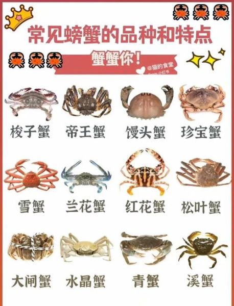 海蟹的种类有哪些_如何区分海蟹品种-第1张图片-山城妙识 海蟹的种类有哪些_如何区分海蟹品种-第1张图片-山城妙识