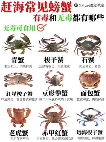 海蟹的种类有哪些_如何区分海蟹品种-第3张图片-山城妙识 海蟹的种类有哪些_如何区分海蟹品种-第3张图片-山城妙识