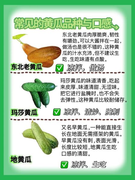 菜瓜有几种_菜瓜和黄瓜的区别-第1张图片-山城妙识 菜瓜有几种_菜瓜和黄瓜的区别-第1张图片-山城妙识