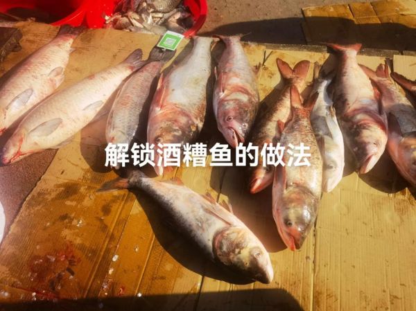 酒糟鱼怎么腌制_酒糟鱼腌制多久可以吃-第1张图片-山城妙识 酒糟鱼怎么腌制_酒糟鱼腌制多久可以吃-第1张图片-山城妙识