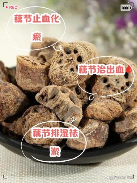 藕节的功效与作用_藕节主治哪些疾病-第2张图片-山城妙识 藕节的功效与作用_藕节主治哪些疾病-第2张图片-山城妙识