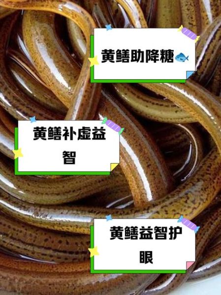 黄鳝壮阳功效大吗_黄鳝怎么吃最补肾-第2张图片-山城妙识 黄鳝壮阳功效大吗_黄鳝怎么吃最补肾-第2张图片-山城妙识