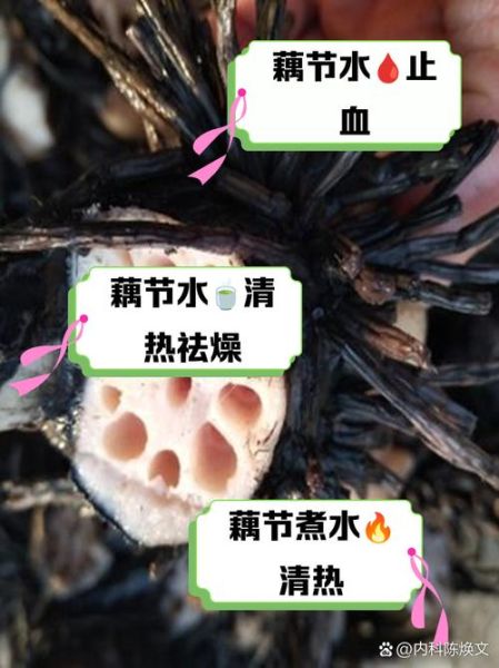 藕节的功效与作用_藕节主治哪些疾病-第3张图片-山城妙识 藕节的功效与作用_藕节主治哪些疾病-第3张图片-山城妙识