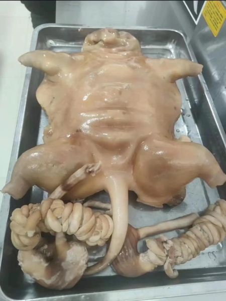 老公吃了狗肉更厉害了_真的假的-第1张图片-山城妙识 老公吃了狗肉更厉害了_真的假的-第1张图片-山城妙识