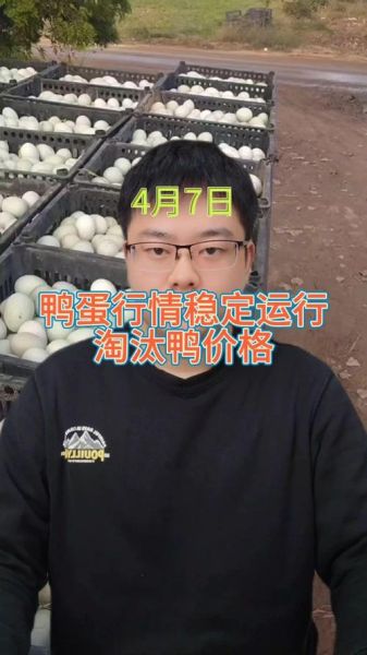 鸭蛋价格今日多少钱一斤_鸭蛋行情今日报价-第2张图片-山城妙识 鸭蛋价格今日多少钱一斤_鸭蛋行情今日报价-第2张图片-山城妙识