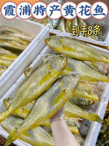 黄鱼多少钱一斤_黄花鱼价格行情-第3张图片-山城妙识 黄鱼多少钱一斤_黄花鱼价格行情-第3张图片-山城妙识