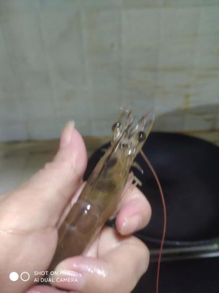 虾是用清水泡还是盐水_虾泡多久才干净-第1张图片-山城妙识