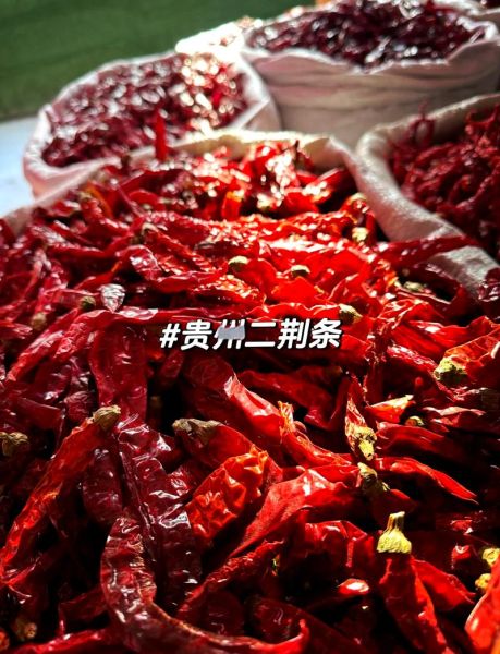 二荆条辣椒辣不辣_二荆条辣椒怎么做好吃-第2张图片-山城妙识 二荆条辣椒辣不辣_二荆条辣椒怎么做好吃-第2张图片-山城妙识