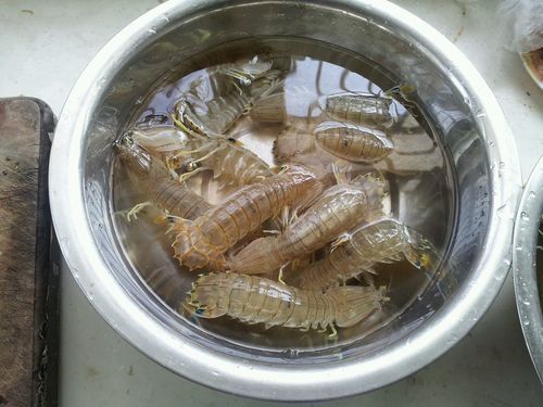 虾婆婆是什么_虾婆婆图片怎么拍好看-第2张图片-山城妙识 虾婆婆是什么_虾婆婆图片怎么拍好看-第2张图片-山城妙识