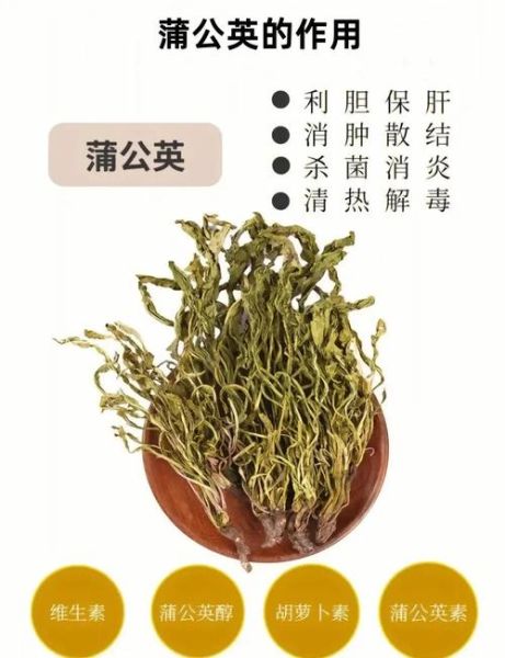 鸡蛋能治糖尿病吗_怎么吃才有效-第3张图片-山城妙识 鸡蛋能治糖尿病吗_怎么吃才有效-第3张图片-山城妙识