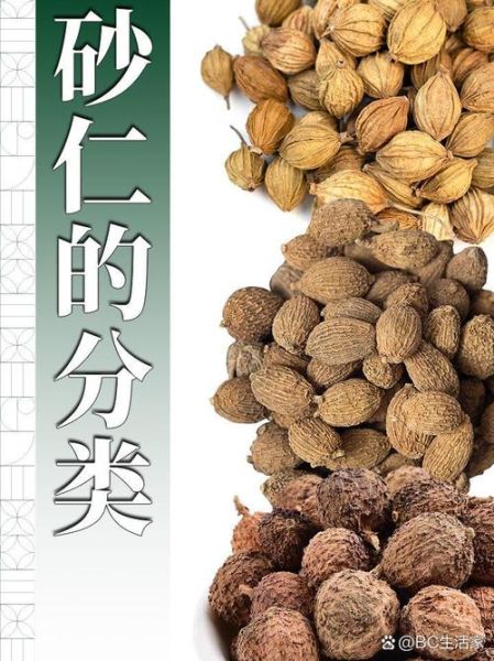 香砂图片_香砂和砂仁的区别-第3张图片-山城妙识 香砂图片_香砂和砂仁的区别-第3张图片-山城妙识