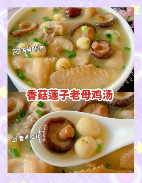 香菇炖鸡汤的营养价值_孕妇可以喝吗-第2张图片-山城妙识 香菇炖鸡汤的营养价值_孕妇可以喝吗-第2张图片-山城妙识