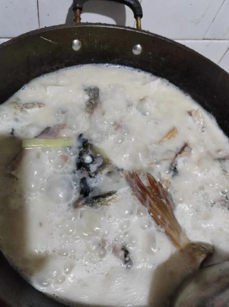 鲤鱼怎么做好吃又简单家常的清炖_清炖鲤鱼的做法窍门-第1张图片-山城妙识