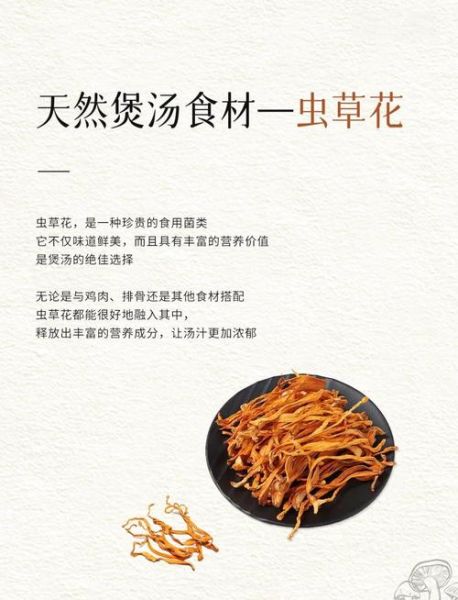 虫草花有什么功效与作用_虫草花怎么吃效果最好-第1张图片-山城妙识 虫草花有什么功效与作用_虫草花怎么吃效果最好-第1张图片-山城妙识