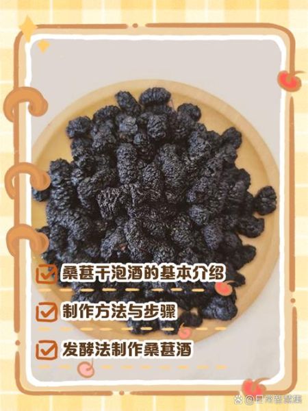 桑葚泡酒怎么做_桑葚酒比例是多少-第2张图片-山城妙识 桑葚泡酒怎么做_桑葚酒比例是多少-第2张图片-山城妙识