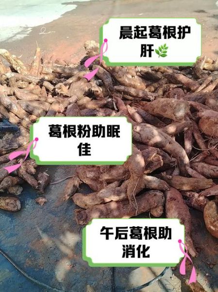 葛根粉的作用是什么_葛根粉怎么吃效果最好-第3张图片-山城妙识 葛根粉的作用是什么_葛根粉怎么吃效果最好-第3张图片-山城妙识