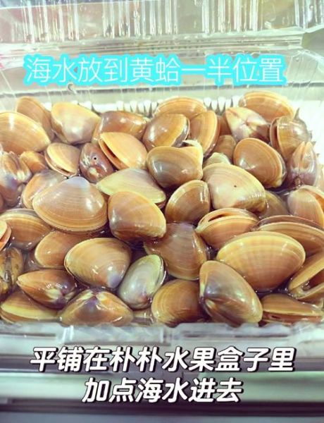 蛤蟆吐蜜馅料是什么_正宗配方揭秘-第2张图片-山城妙识