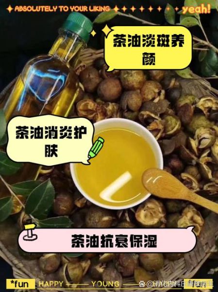 脸上擦了一个月的茶油_效果到底怎么样-第2张图片-山城妙识 脸上擦了一个月的茶油_效果到底怎么样-第2张图片-山城妙识