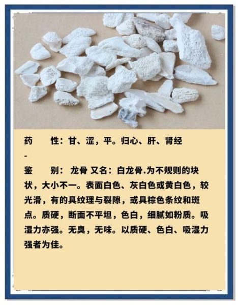 龙骨的功效与作用及主治_龙骨怎么用才有效-第1张图片-山城妙识 龙骨的功效与作用及主治_龙骨怎么用才有效-第1张图片-山城妙识