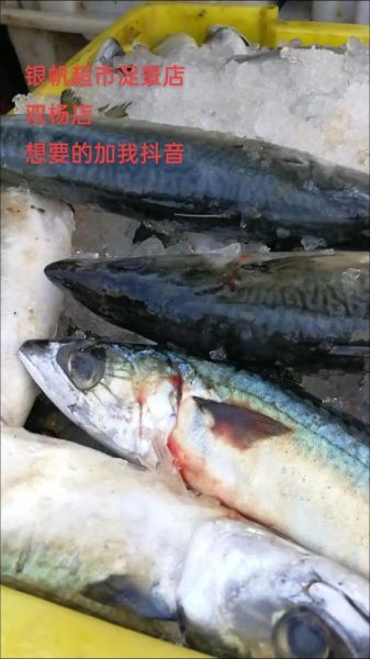 马鲛鱼和青占鱼的区别_哪个更好吃-第1张图片-山城妙识 马鲛鱼和青占鱼的区别_哪个更好吃-第1张图片-山城妙识