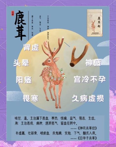 鹿茸怎么吃补肾壮阳_鹿茸壮阳的正确吃法-第2张图片-山城妙识 鹿茸怎么吃补肾壮阳_鹿茸壮阳的正确吃法-第2张图片-山城妙识