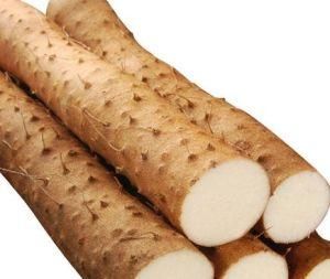 麻山药图片_麻山药怎么挑选-第2张图片-山城妙识 麻山药图片_麻山药怎么挑选-第2张图片-山城妙识