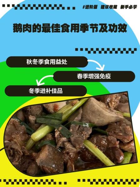 鹅肉的营养价值_鹅肉的功效与作用-第2张图片-山城妙识 鹅肉的营养价值_鹅肉的功效与作用-第2张图片-山城妙识