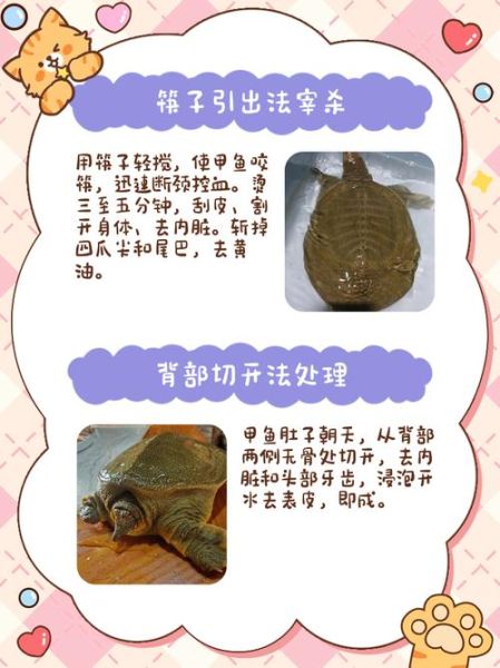 甲鱼怎么杀_甲鱼杀法步骤-第2张图片-山城妙识 甲鱼怎么杀_甲鱼杀法步骤-第2张图片-山城妙识