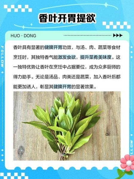 香叶的功效与作用及食用方法_香叶怎么吃不苦-第2张图片-山城妙识 香叶的功效与作用及食用方法_香叶怎么吃不苦-第2张图片-山城妙识