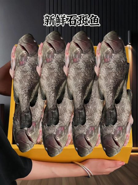 石斑鱼怎么杀图解_石斑鱼宰杀步骤-第3张图片-山城妙识 石斑鱼怎么杀图解_石斑鱼宰杀步骤-第3张图片-山城妙识