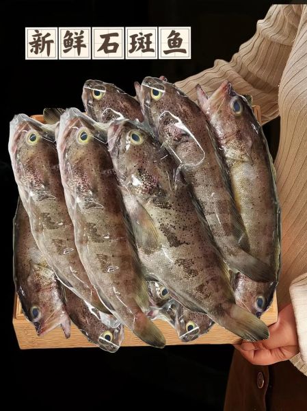 石斑鱼怎么杀图解_石斑鱼宰杀步骤-第1张图片-山城妙识 石斑鱼怎么杀图解_石斑鱼宰杀步骤-第1张图片-山城妙识