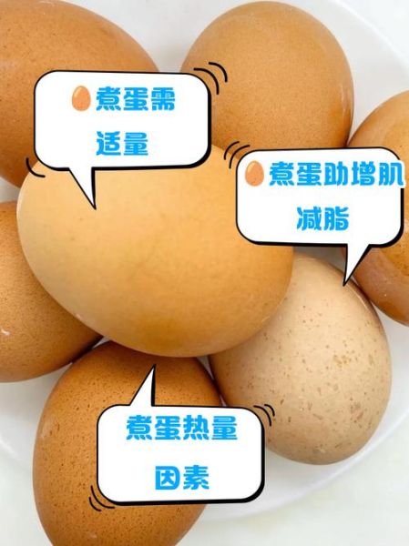 鸡蛋的热量是多少_减肥能吃鸡蛋吗-第3张图片-山城妙识 鸡蛋的热量是多少_减肥能吃鸡蛋吗-第3张图片-山城妙识