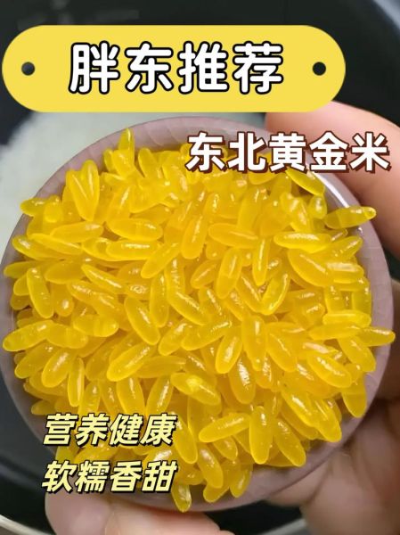 黄金大米的好处和危害_转基因食品安全吗-第2张图片-山城妙识 黄金大米的好处和危害_转基因食品安全吗-第2张图片-山城妙识