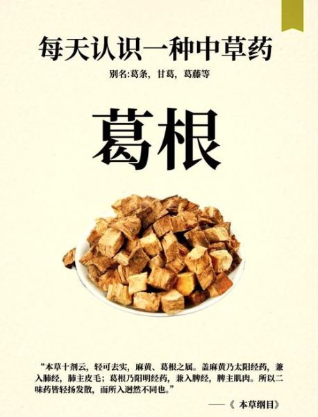 葛根功效与作用及禁忌_葛根怎么吃效果最好-第1张图片-山城妙识 葛根功效与作用及禁忌_葛根怎么吃效果最好-第1张图片-山城妙识